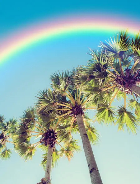 Dr. Andrea Loeb | South Miami Psychology Group